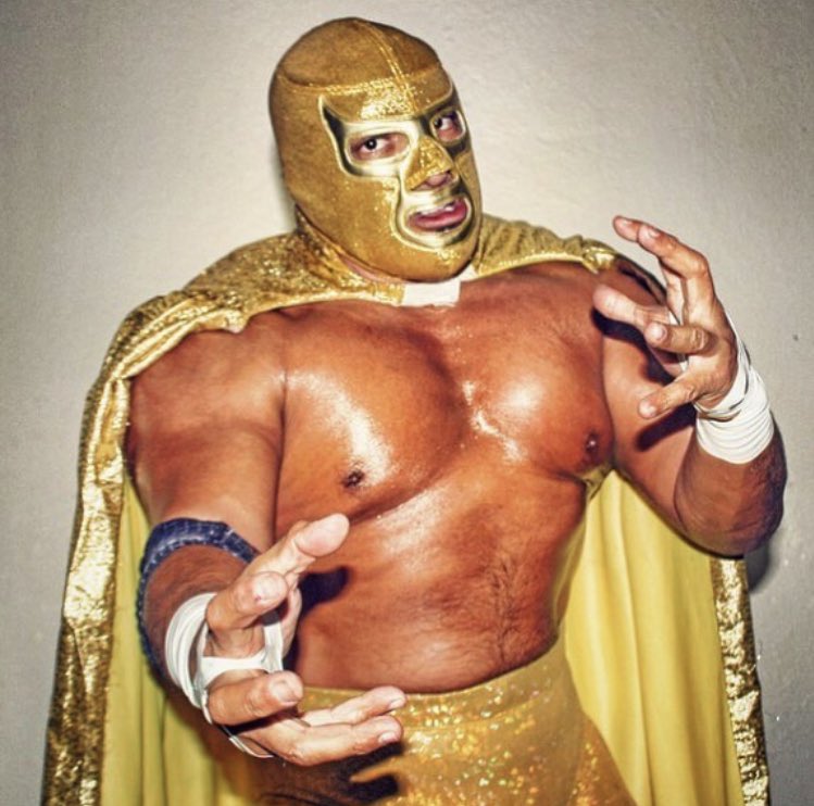 Silver King Wrestler