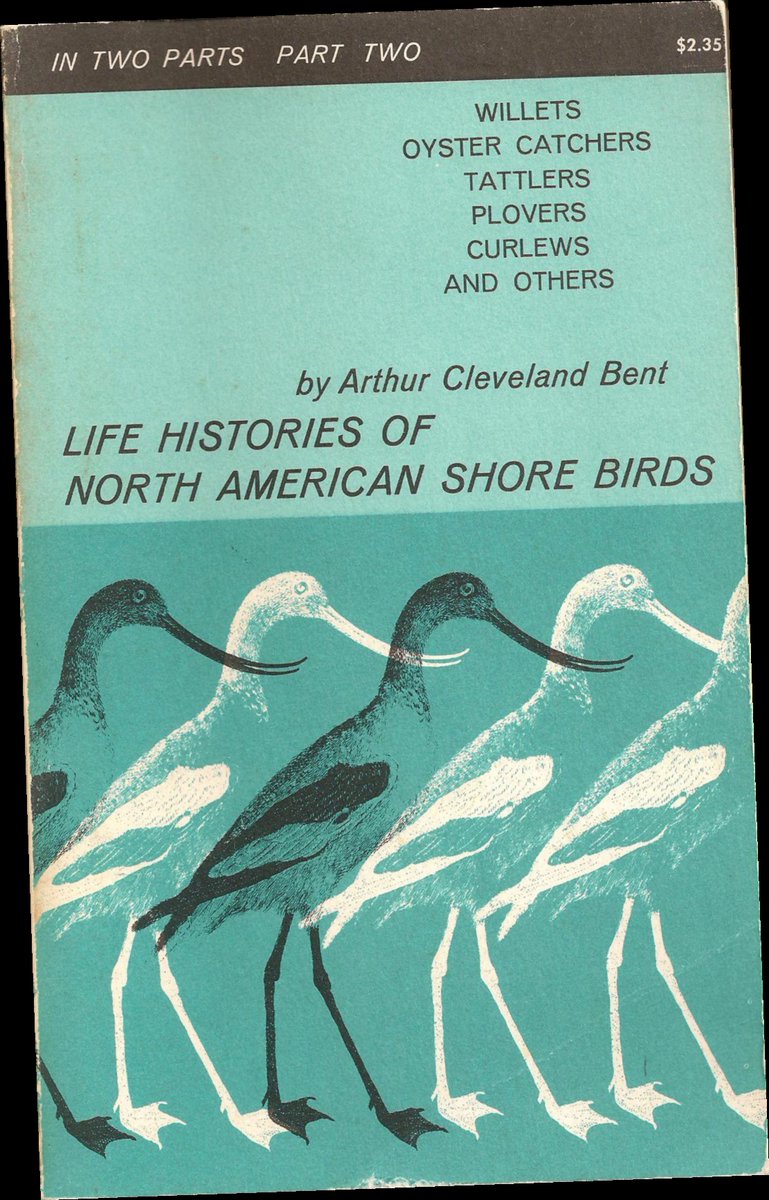 Read Download Life Histories Of North American Shore Birds Part Two read-download-life-histories-of-north-american-shore-birds-part-two