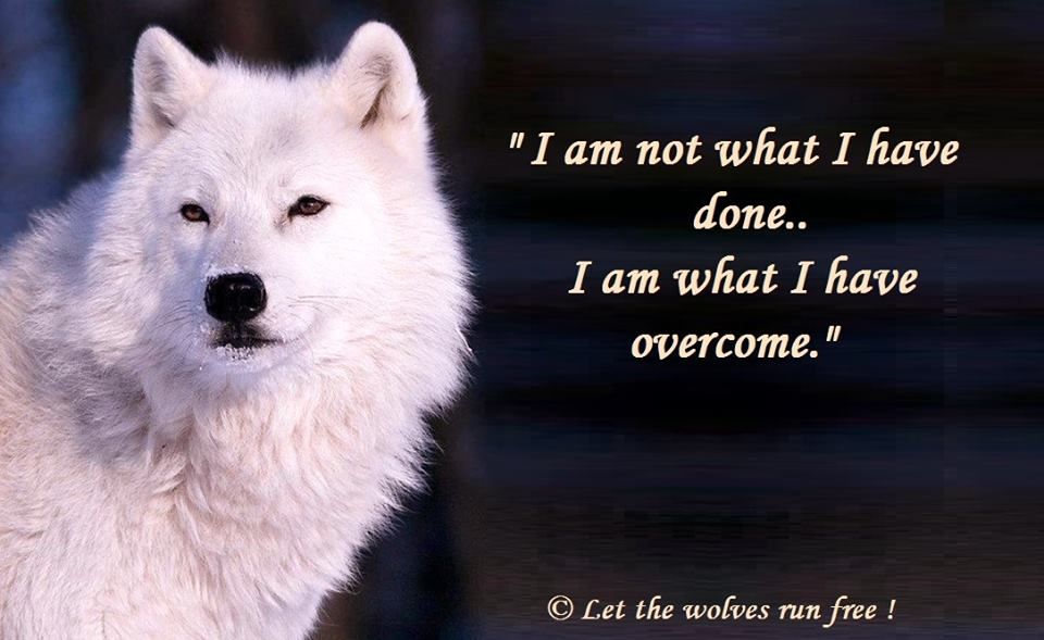 I Am A Wolf Quote