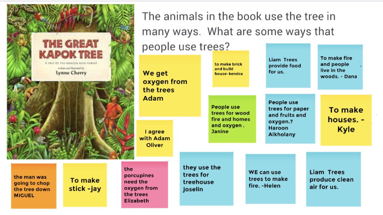 The Great Kapok Tree Animals
