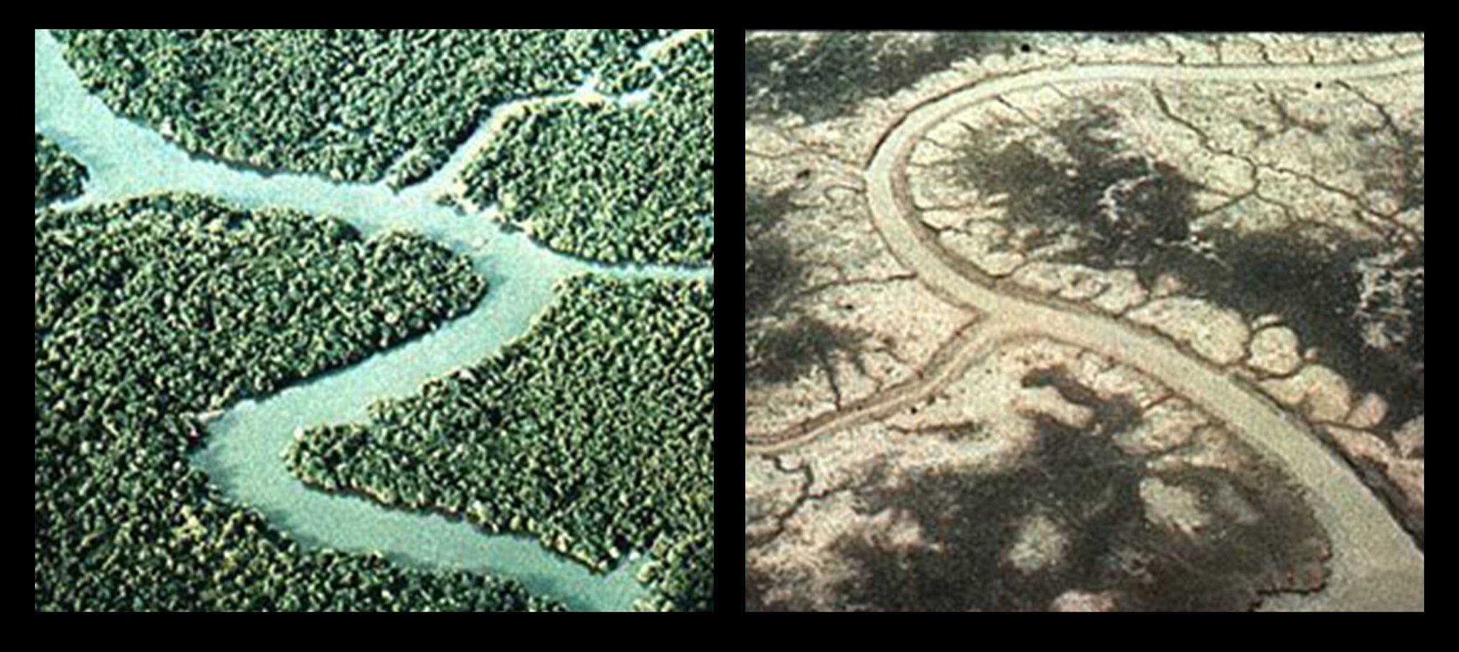 Heartbreaking Portraits Of Third Generation Agent Orange “ENTERTAINMENT ...