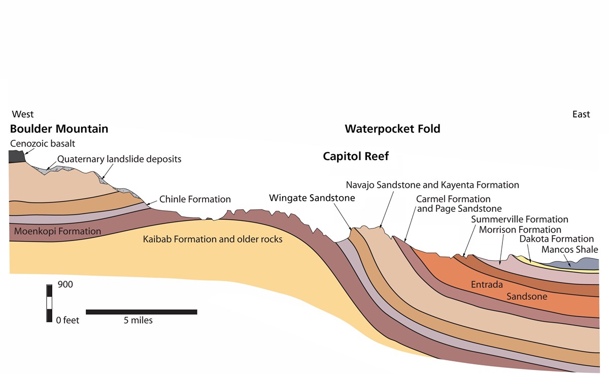 Monocline Diagram