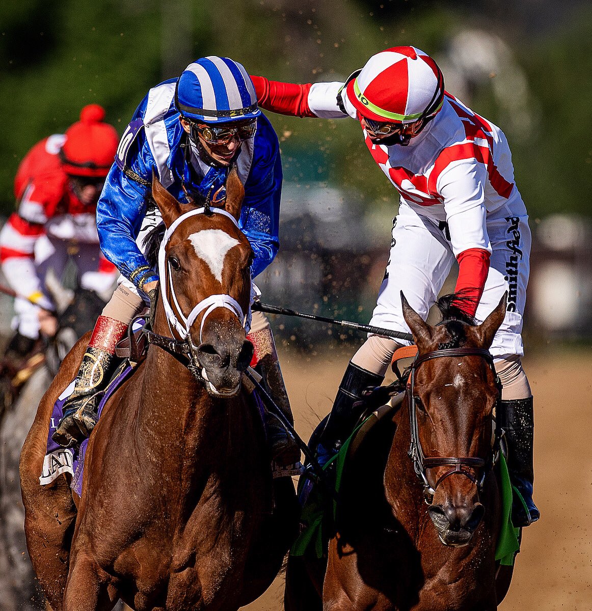 Alex Evers on Twitter: "The frame ive been waiting 16 years to make... #KYOaks…