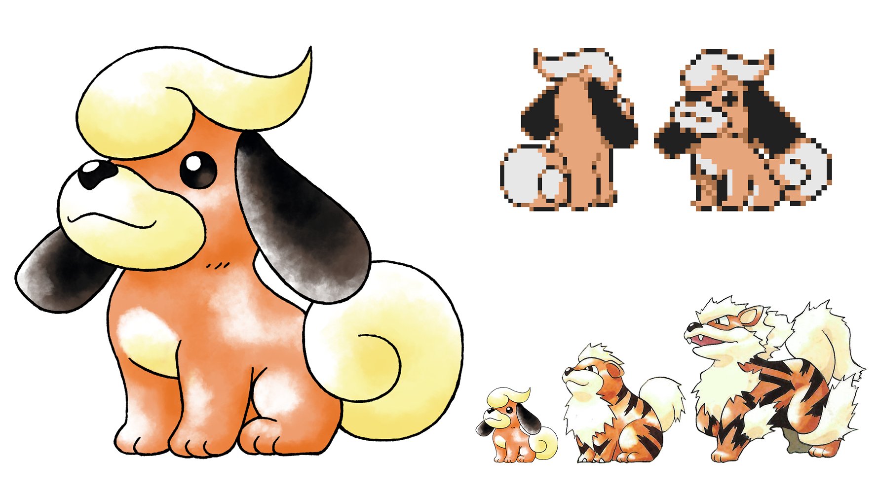 Pokemon Growlithe Evolution