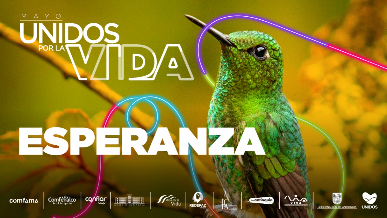Secretaría De Gobierno Paz Y Noviolencia On Twitter Mayoporlavida