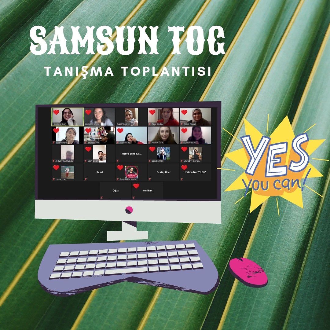 Trabzon Tog (@trabzontog) | Twitter