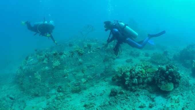 MIT Office of Communications | Massachusetts Institute of Technology