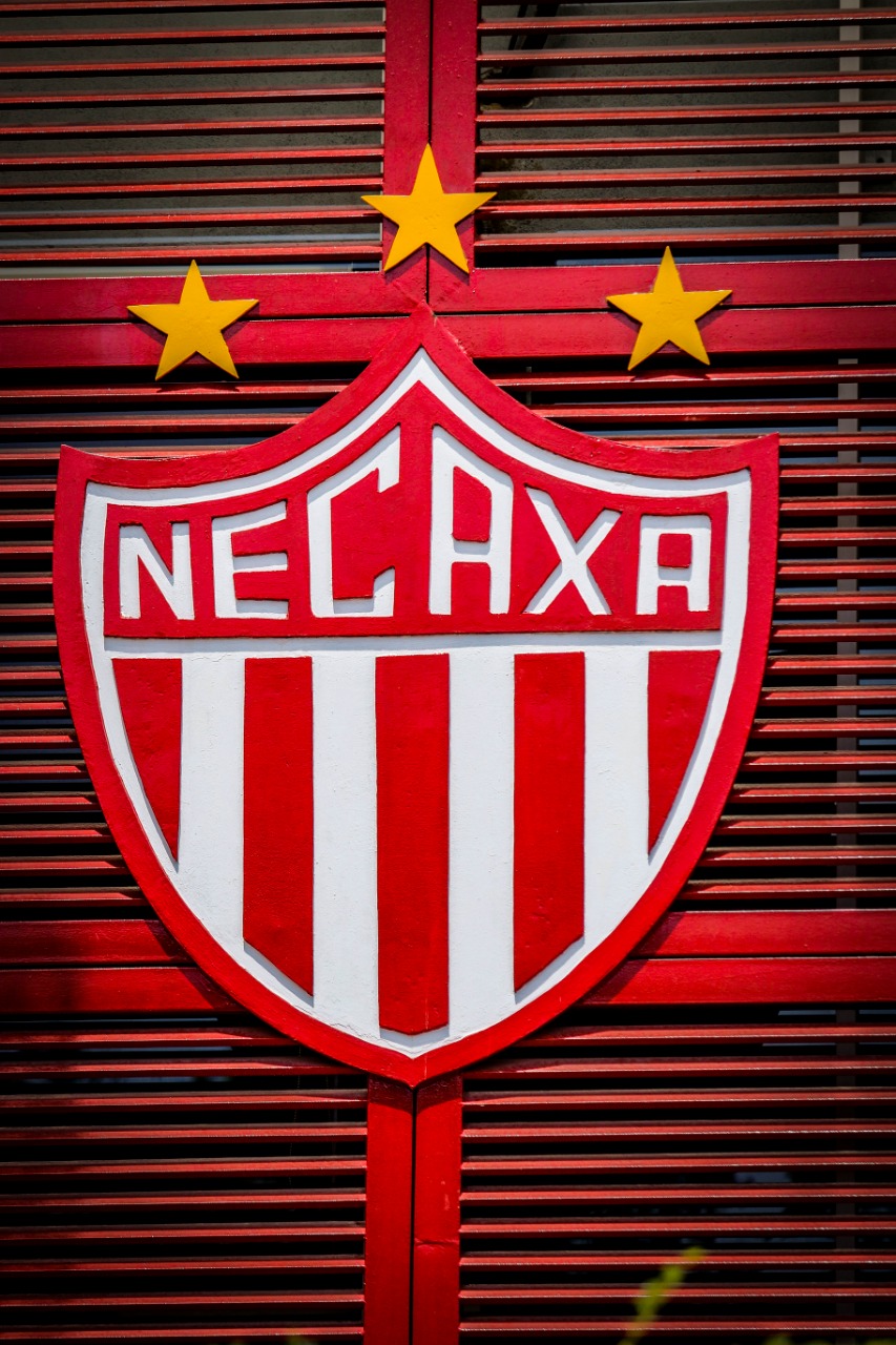 Rayos Del Necaxa Logo