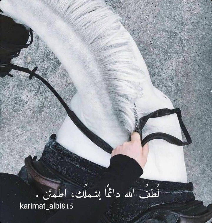 Salah Mustafa 🇸🇩 (@Salahmustafa197) | Twitter