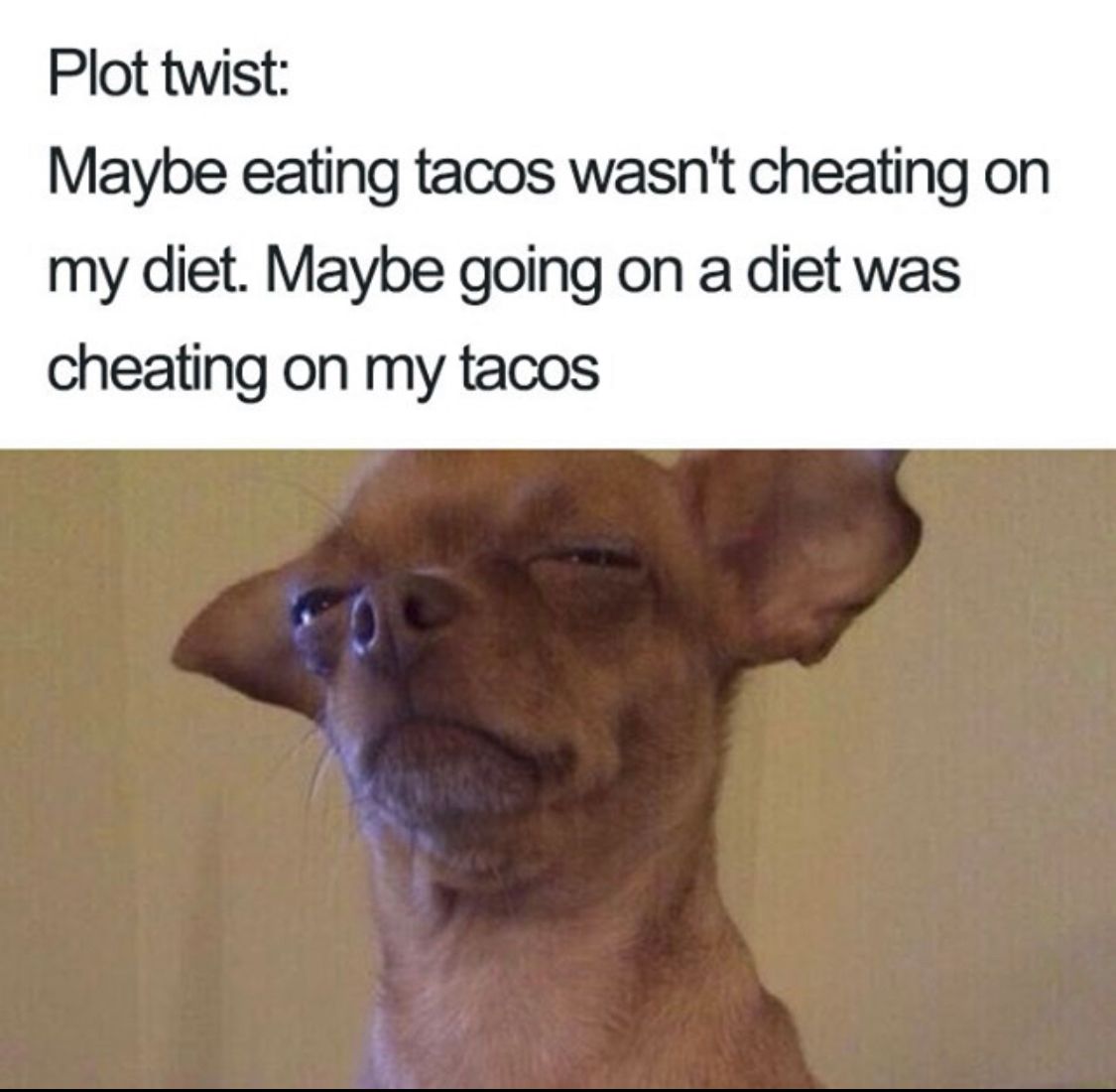 Dog Taco Memes