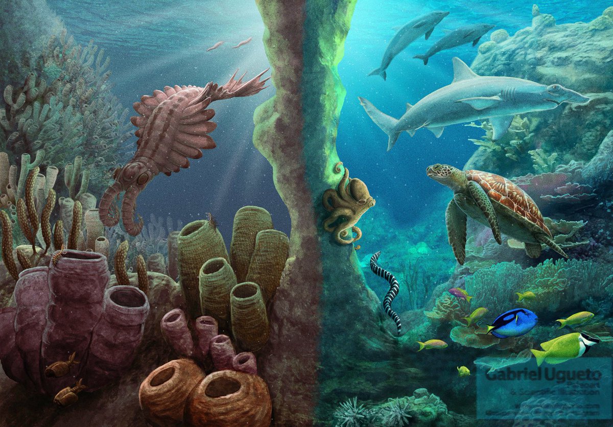 Panthalassic Ocean Anomalocaris