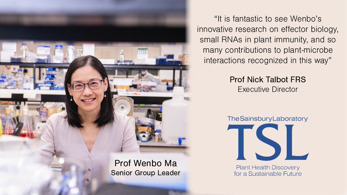 The Sainsbury Laboratory on Twitter: "We are thrilled that our senior group leader, Prof Wenbo ...