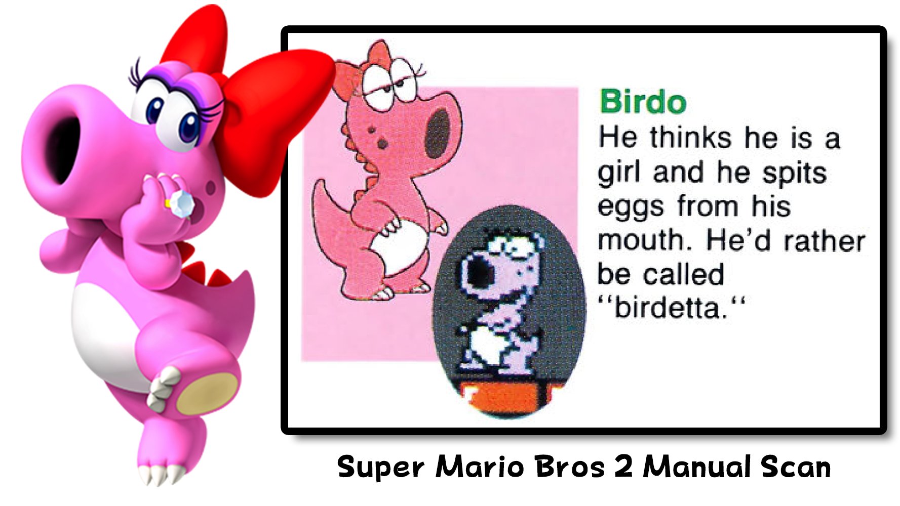 Birdo Original