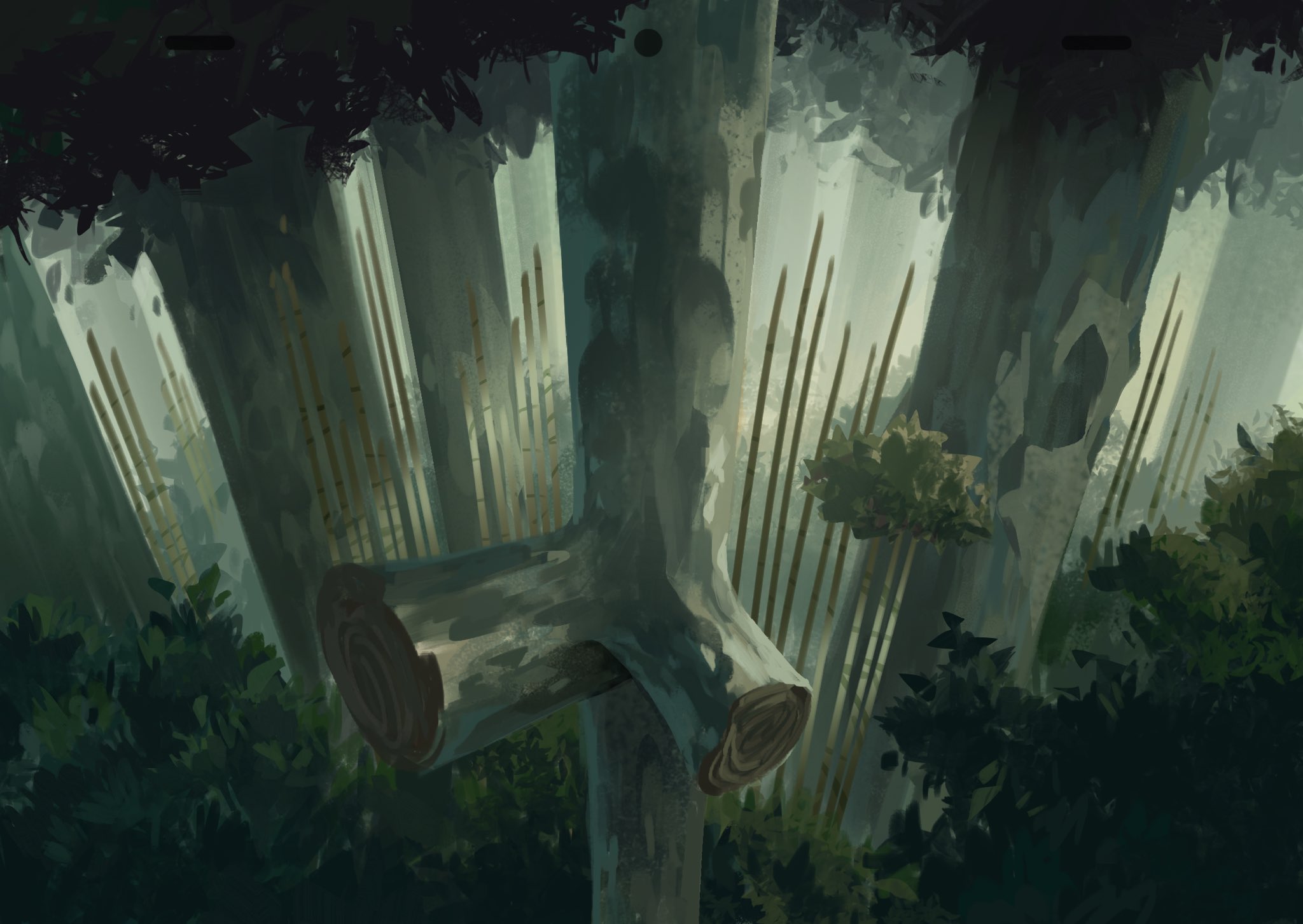 Naruto Forest Background