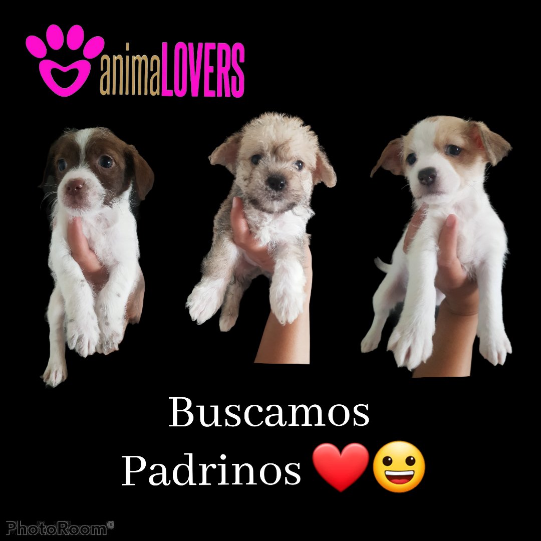 Fixlab Tech Solution (@TechFixlab) | Twitter