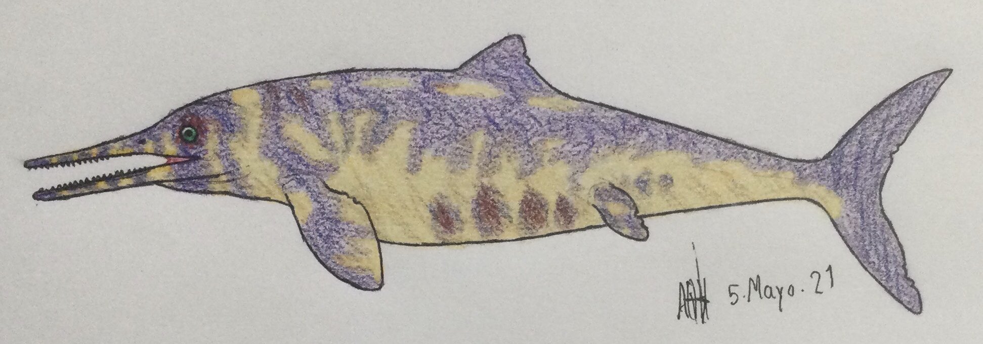 Ophthalmosaurus Skeleton