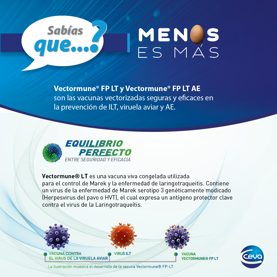Ceva Salud Animal on Twitter: "Programa MENOS ES MÁS ¿Sabías qué? Vectormune® FP LT y Vectormune ...