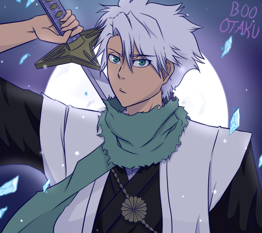 Toshiro Timeskip