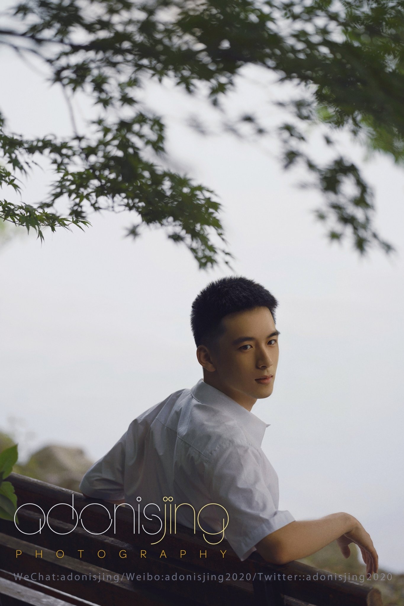 adonisjing on Twitter: "偶尔清新一下 https://t.co/5zzQvcYpgg" / Twitter