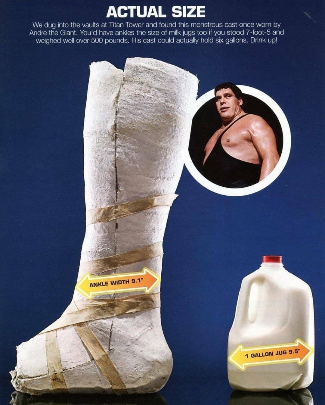 Andre The Giant Size
