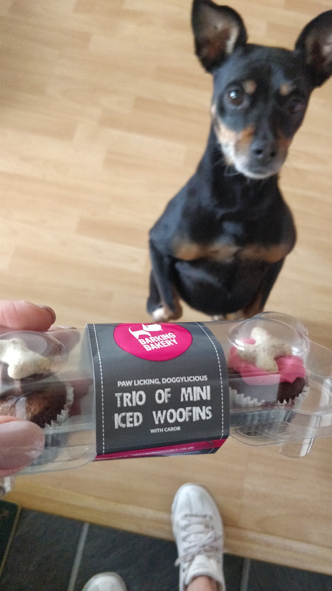 TW Pornstars - Catherine Duck BSc MBPsS. Twitter. Rosie her duty with ...