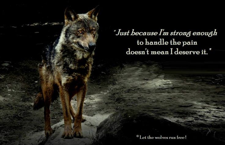Wolf Quotes About Strength