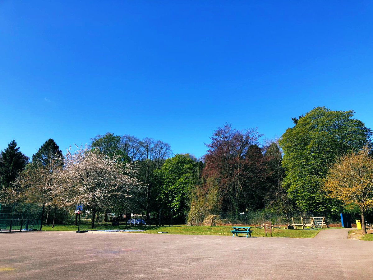 Welcome to Whyteleafe School