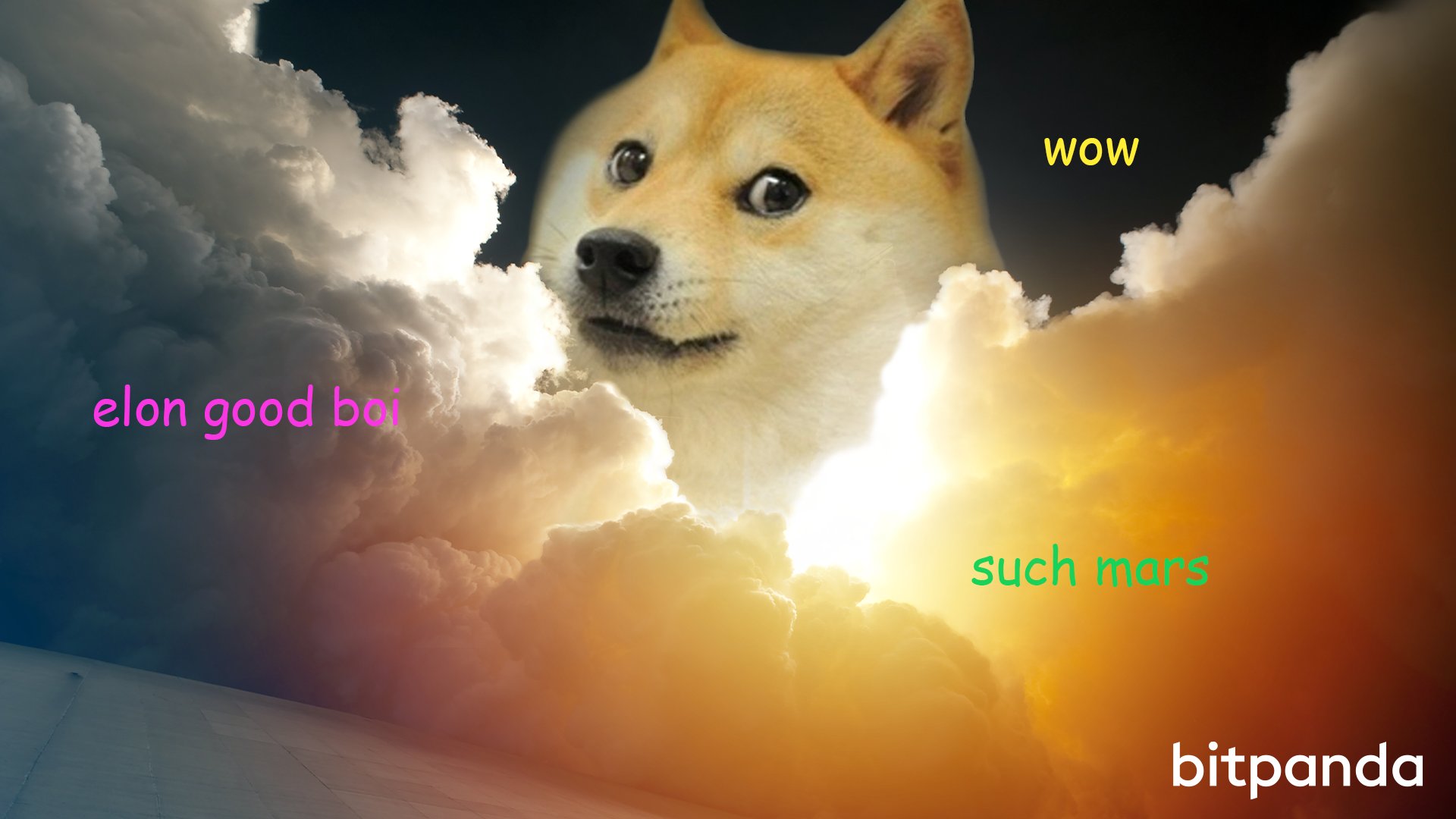 Doge Background 1920x1080