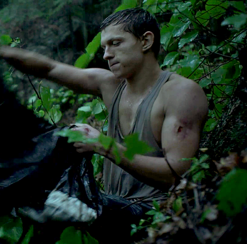 Todd Hewitt Chaos Walking