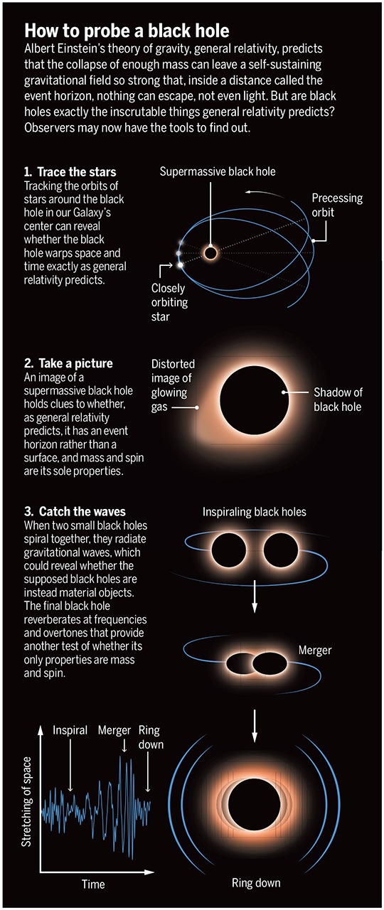 Black Hole Probe