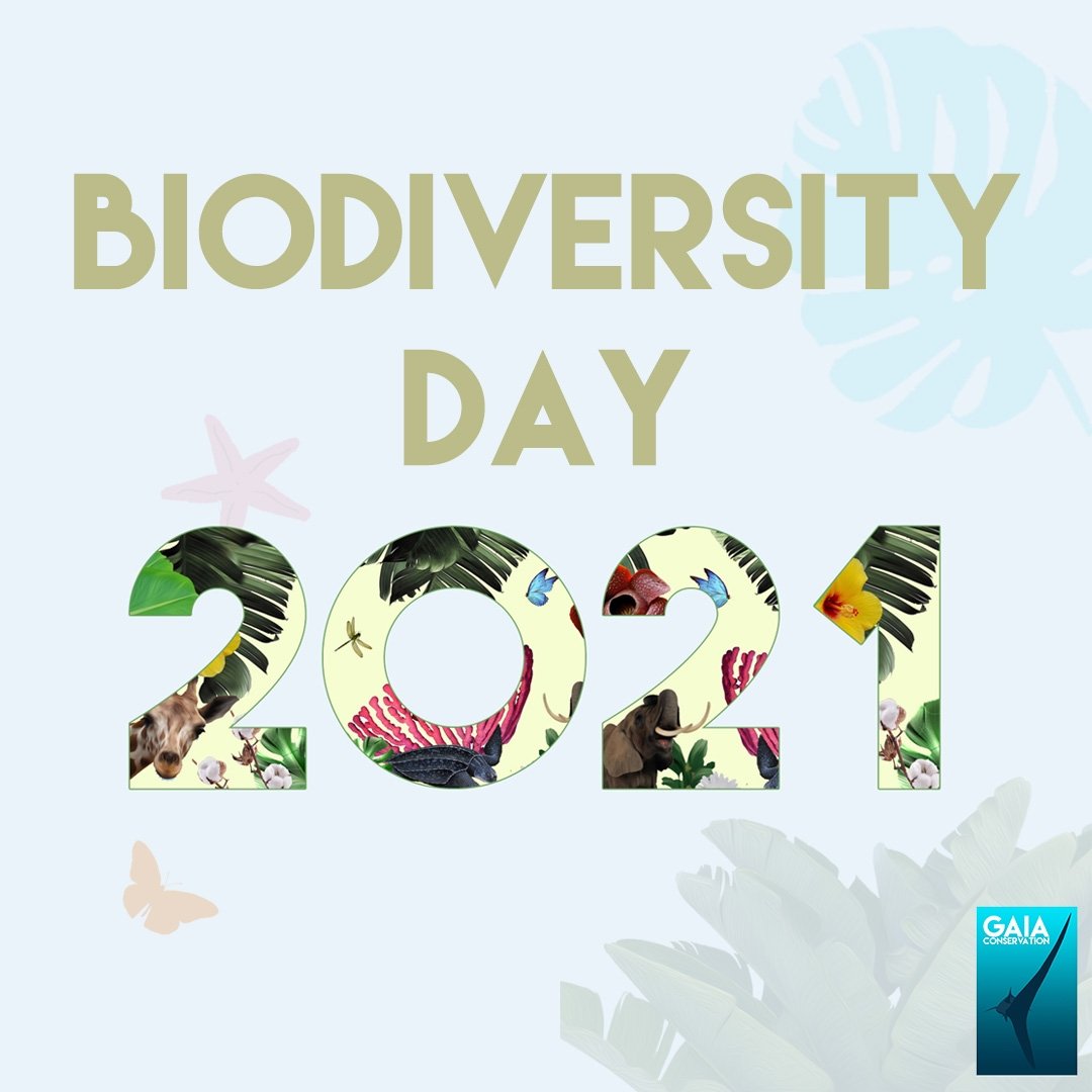 Conservation Of Biodiversity Poster