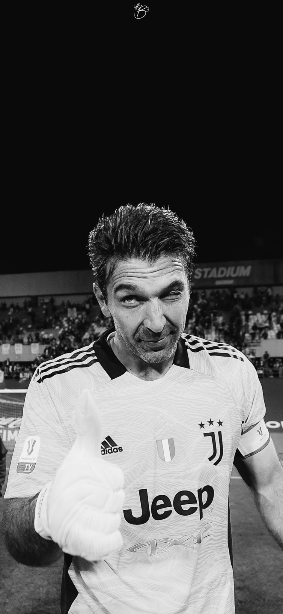 Buffon Wallpaper