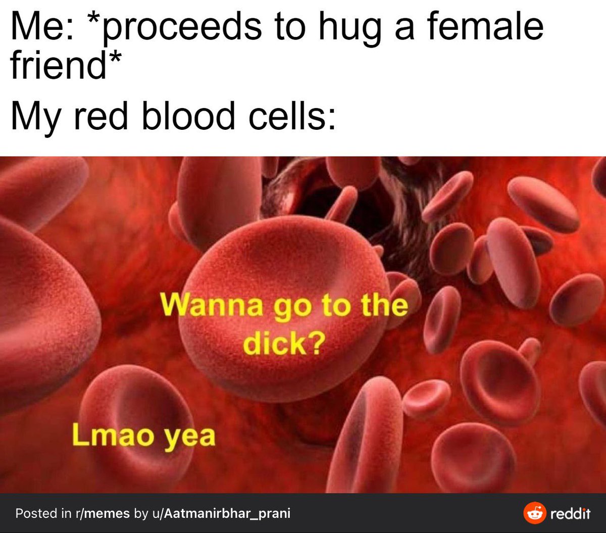 Phyroks (@Phyroks) | Twitter