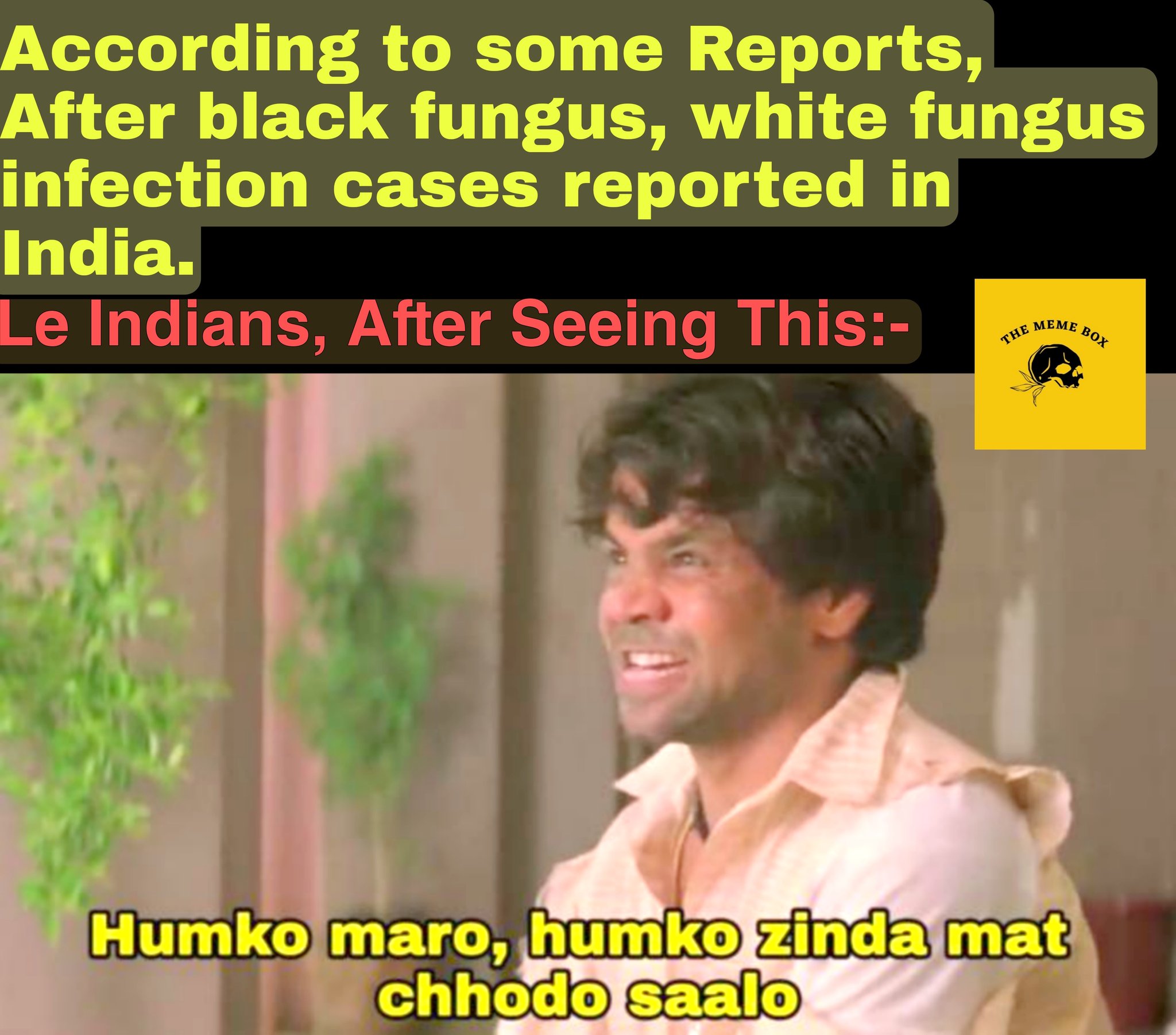 Fungal Memes Memebase Mushroom All Your Memes In Our Base Funny