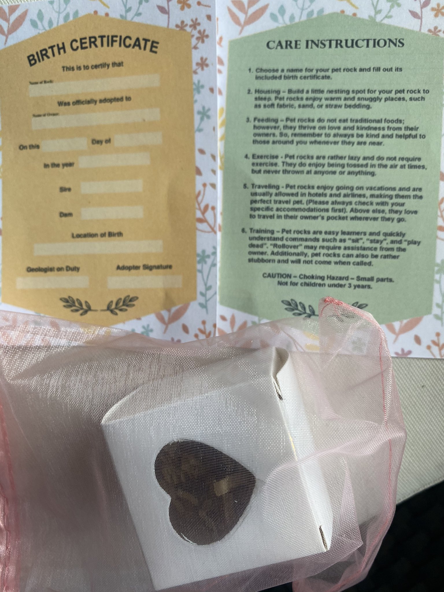 Pet Rock Certificate