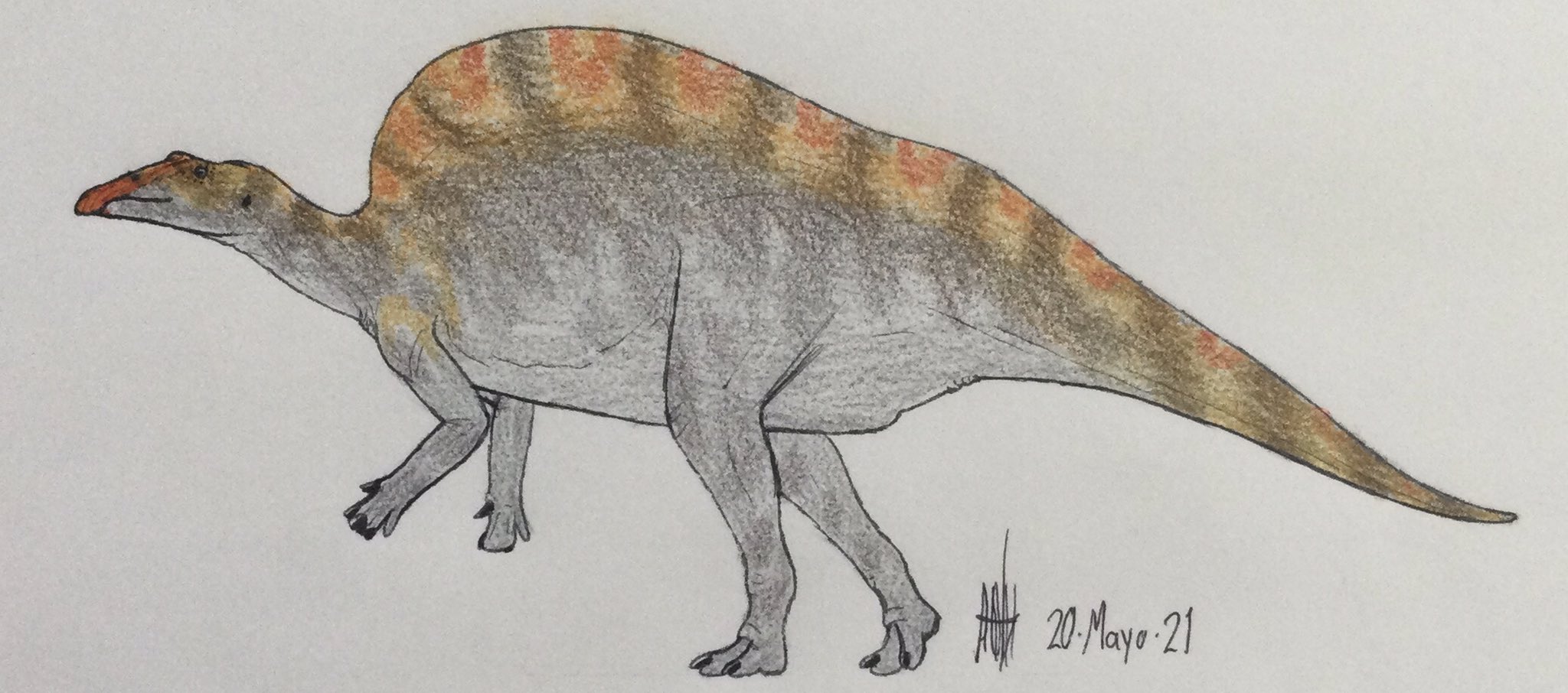 Ouranosaurus Drawing Cuculus8 (COMMS OPEN) On X: "c0mm For JakesDucky