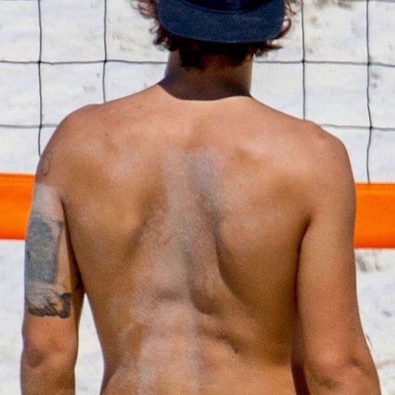 Harry Styles Back Dimples