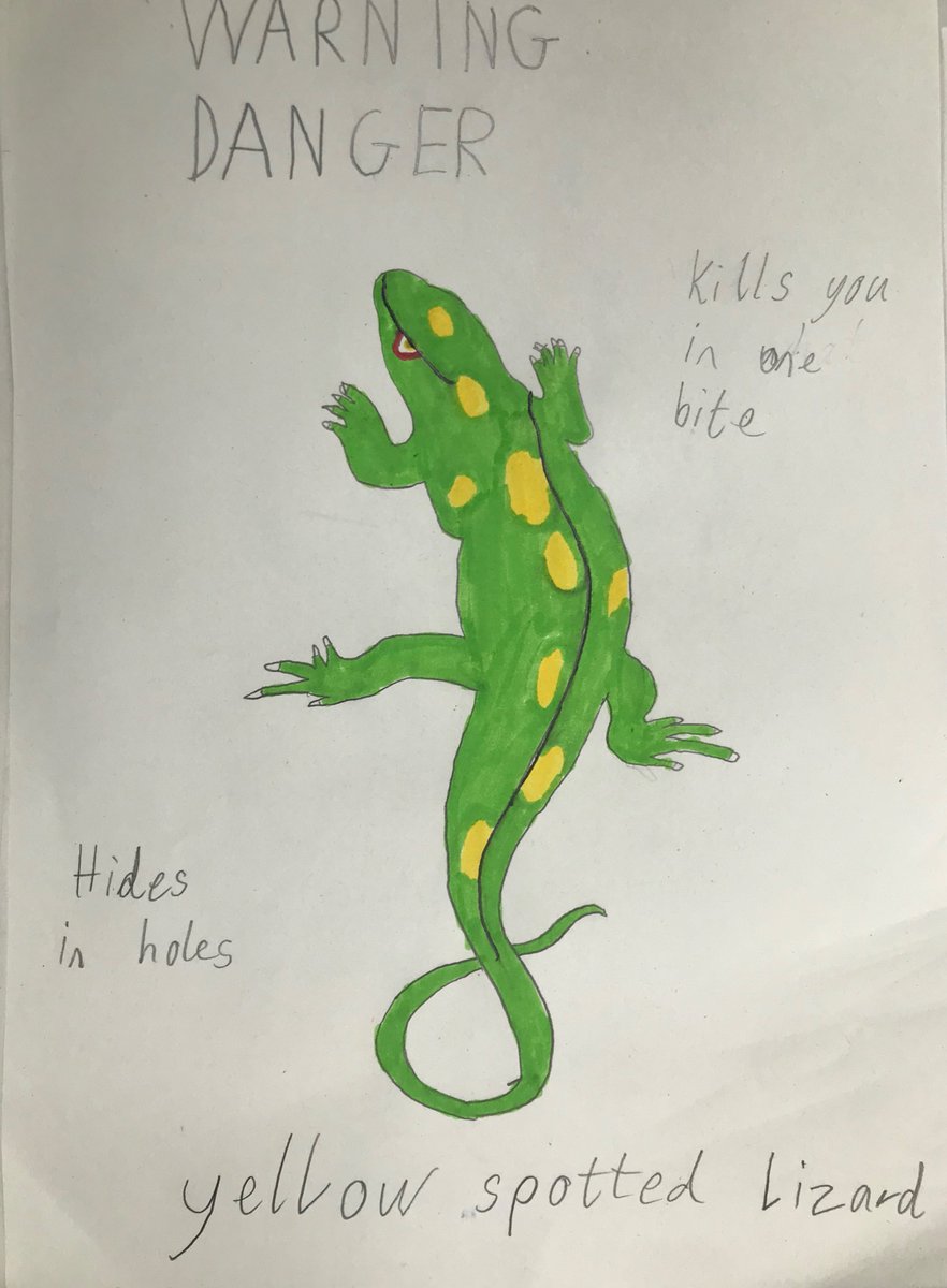 Yellow Spotted Lizard Camp Green Lakes