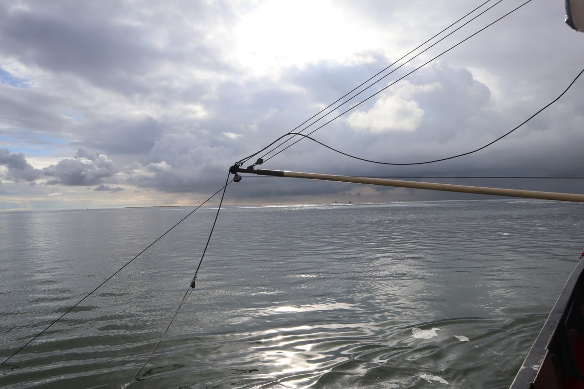 Vissen die vogels vangen [video] - Visserij.nl