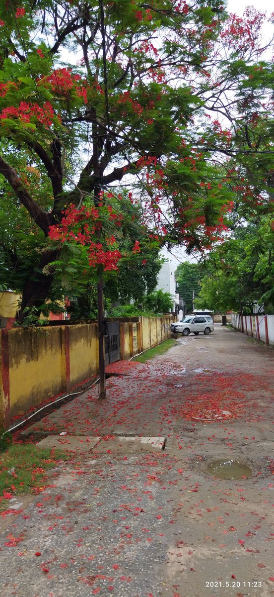 Sameer Shukla (@Samcool1998) | Twitter