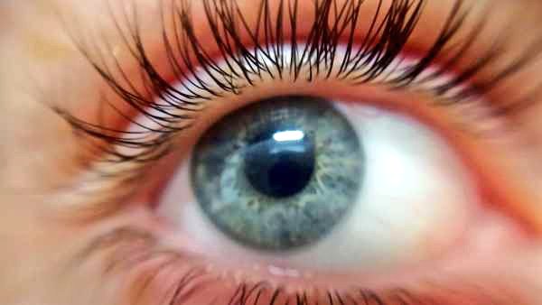 Double Eyelashes Distichiasis