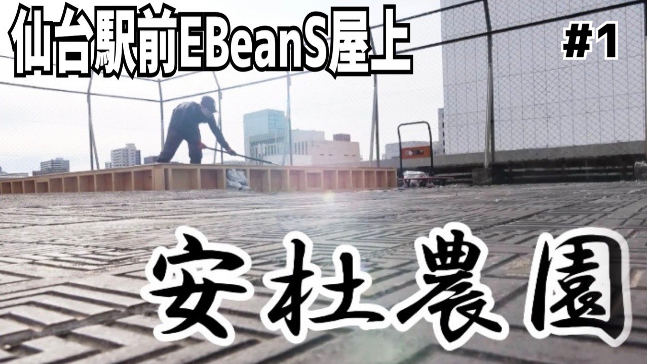 EBeanS(イービーンズ)公式 on Twitter: "新企画‼️ 【安杜農園】 イービーンズで農業始めました！ #いぎなり東北産 安杜羽加さんが農業にチャレンジ👩‍🌾 イービーンズの屋上 ...