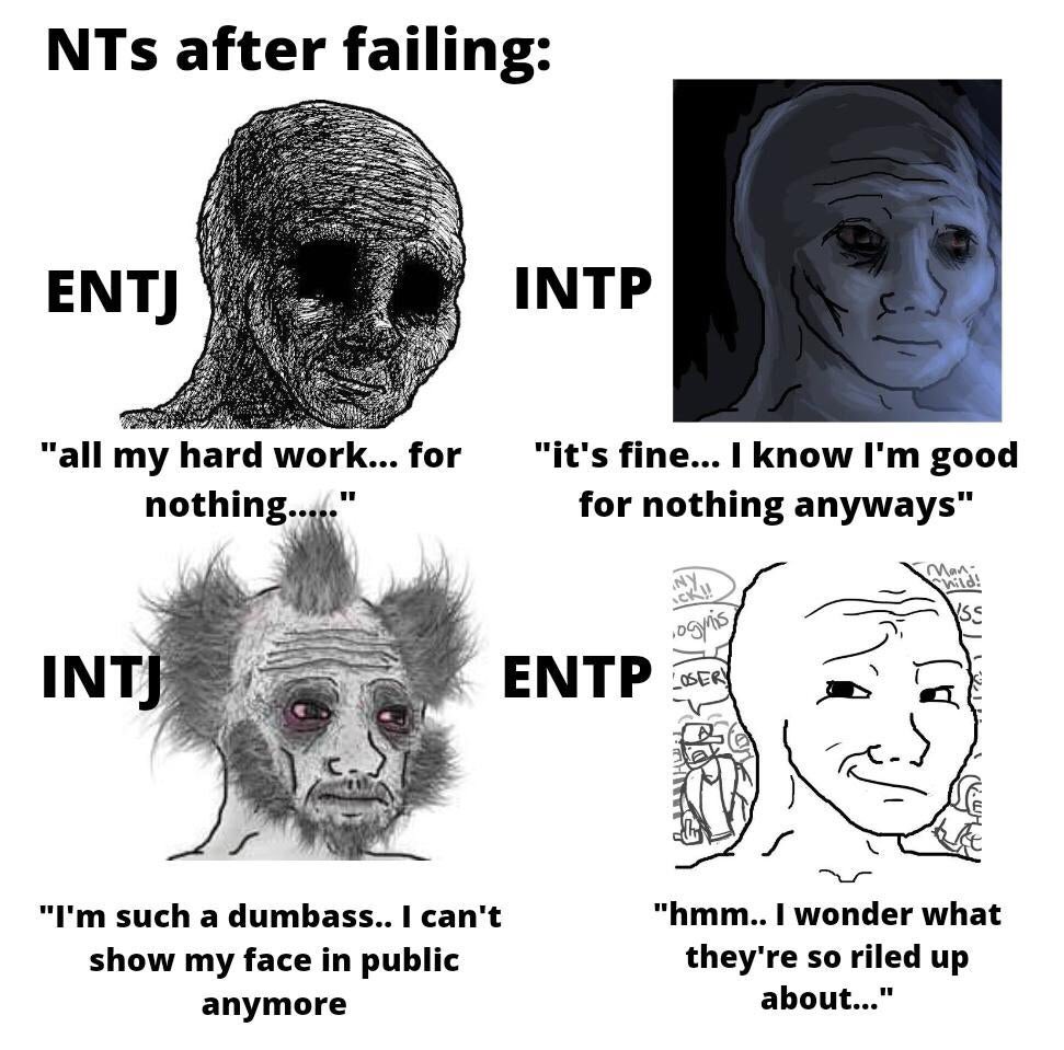 Mbti Memes On Twitter Entj Intp Intj Entp N Mbti Memes 0 Hot Sex Picture