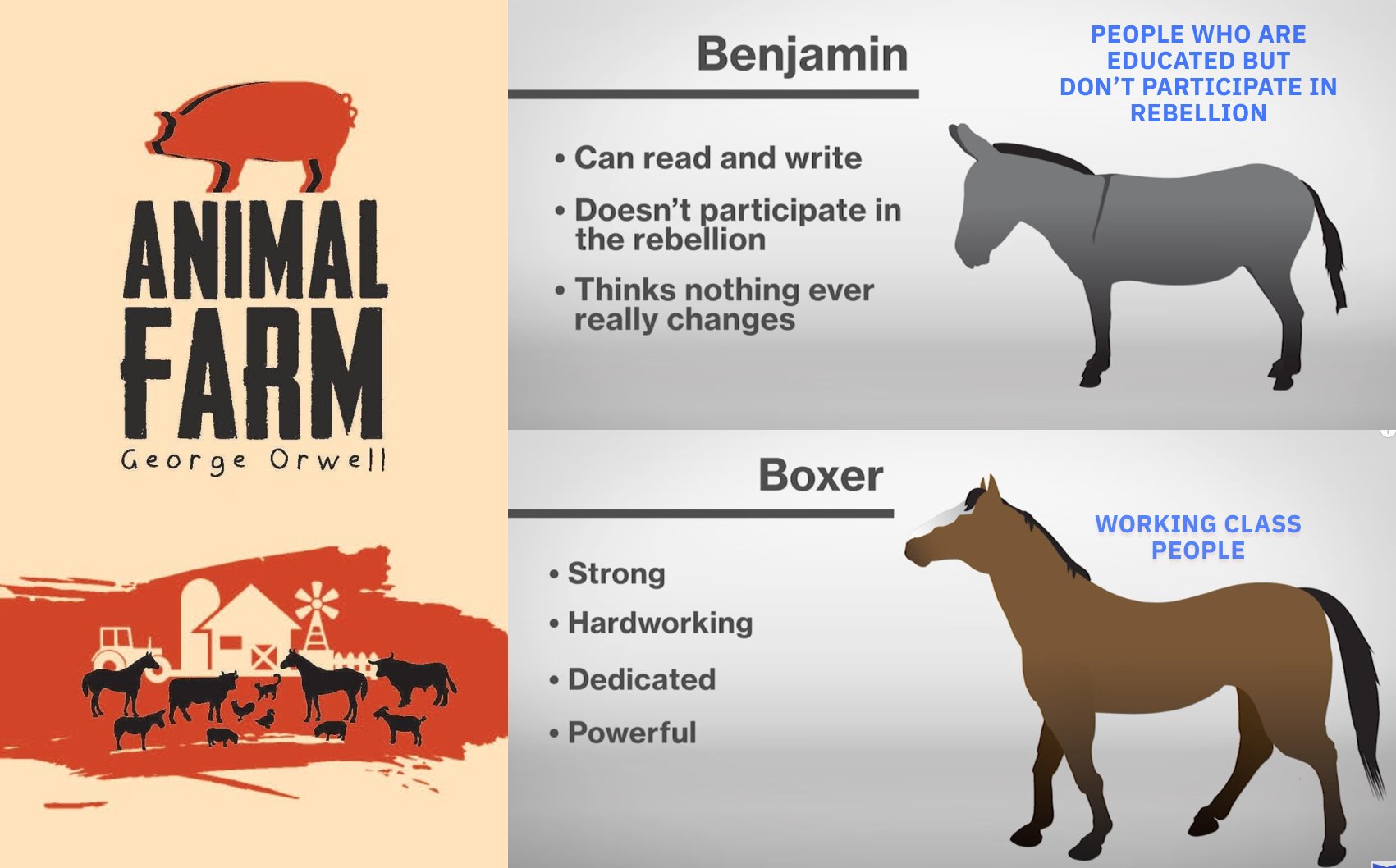 Animal Farm Benjamin