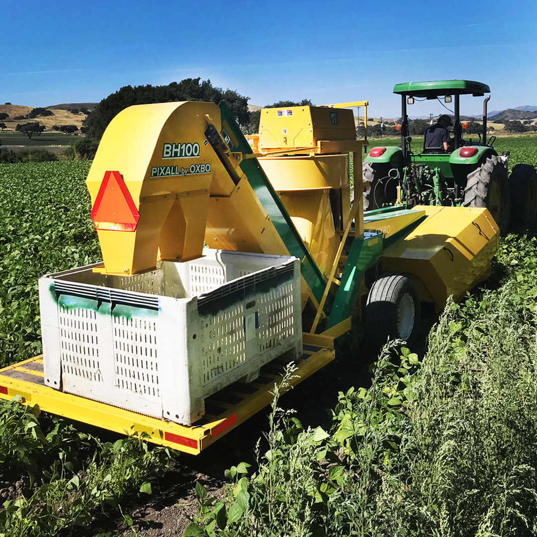 Pixall Bean Harvester