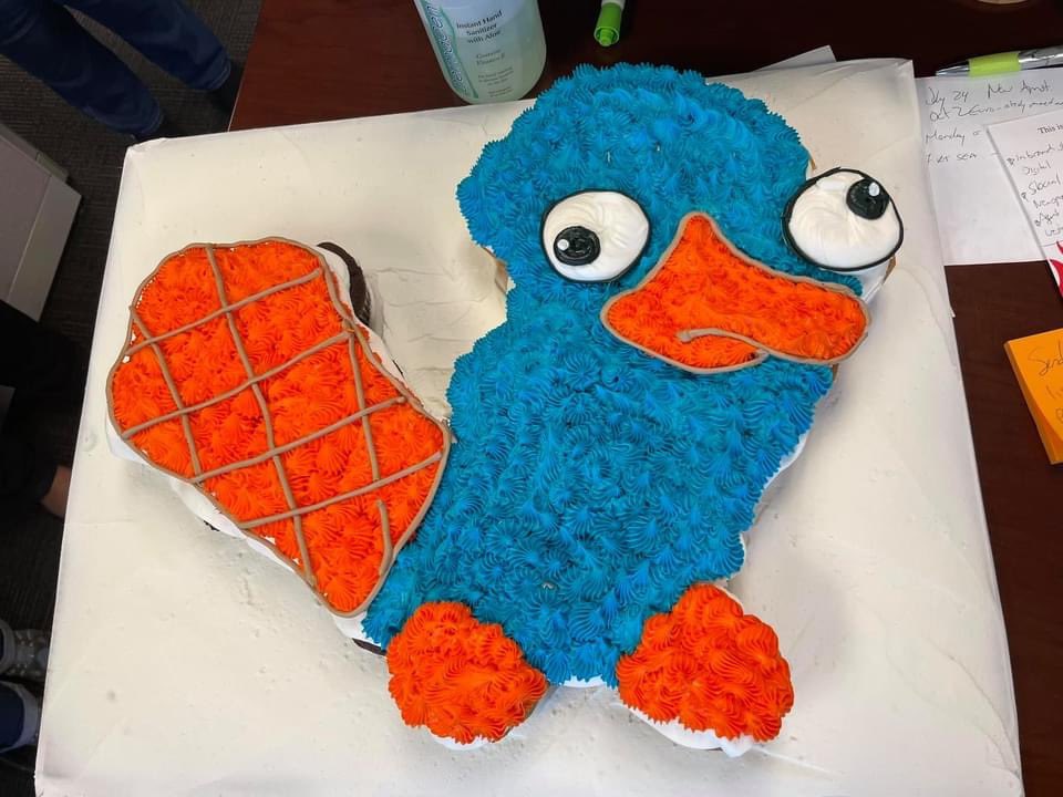 Perry The Platypus Cake