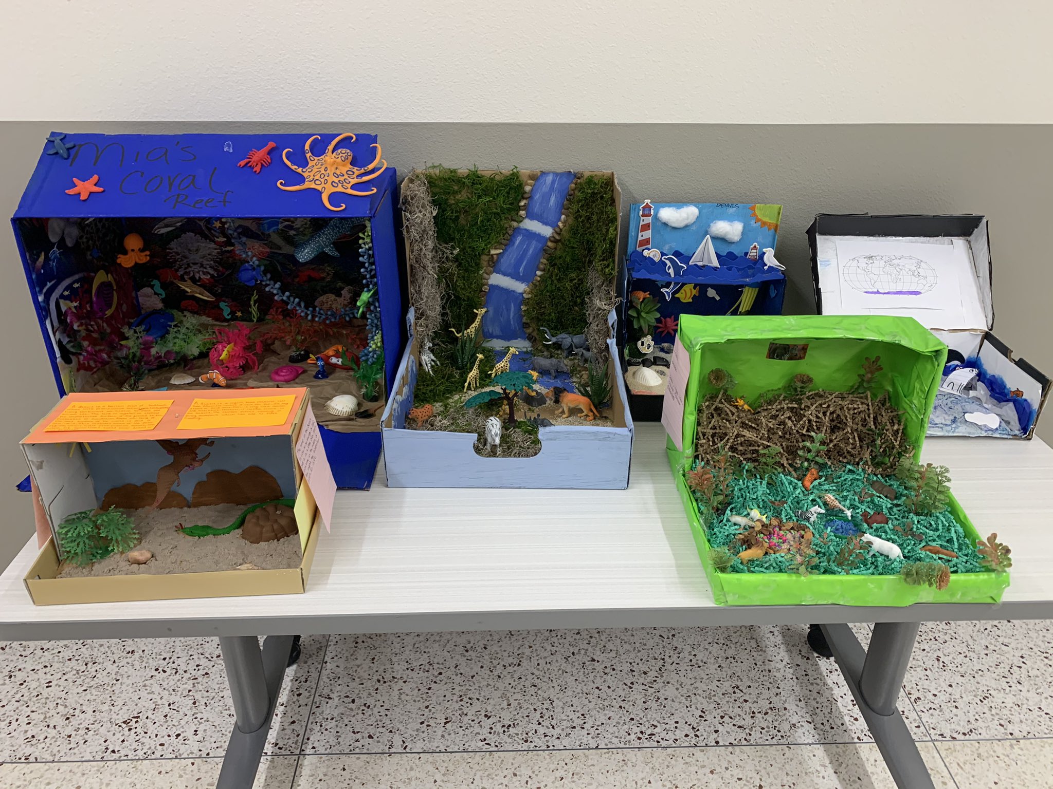 Grassland Ecosystem Diorama