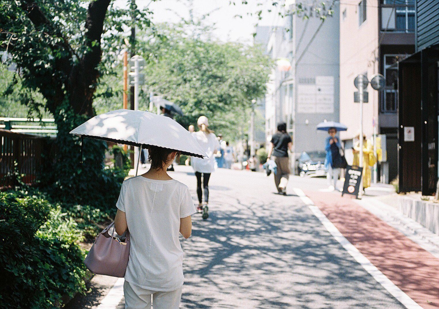 Rinco Koyama on Twitter: "film photography. https://t.co/Ezvv33Vw19" / Twitter