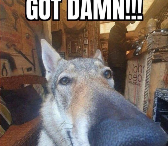 Daaaammmnnn Meme