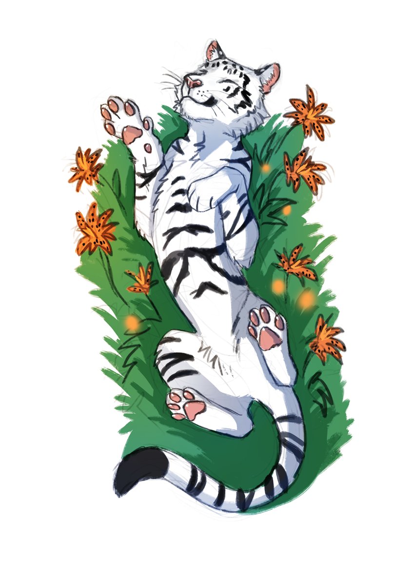 Anime White Tiger Drawing